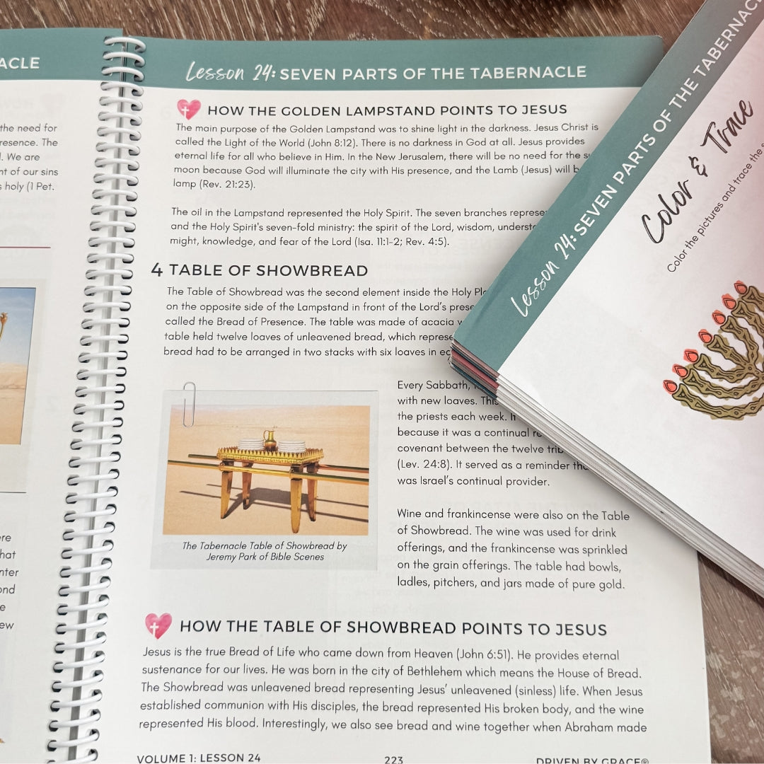 Classical Conversations Cycle 1: Week 24 Recap – Driven By Grace