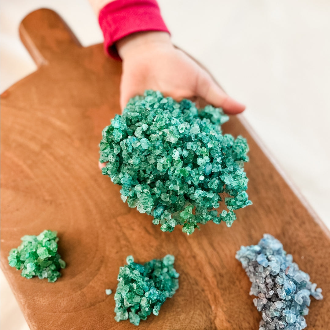 Classical Conversations Cycle 3: Week 16 Recap – Driven By Grace