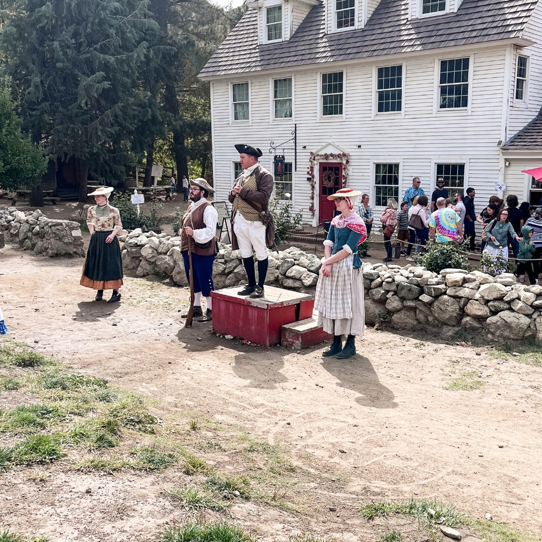 Classical Conversations Cycle 3: Week 7 Recap – Driven By Grace