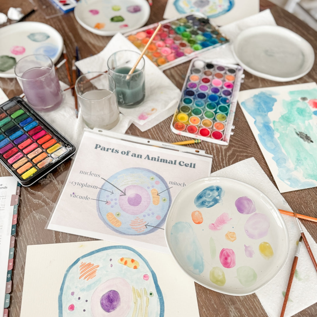 Classical Conversations Cycle 1: Week 3 Recap – Driven By Grace