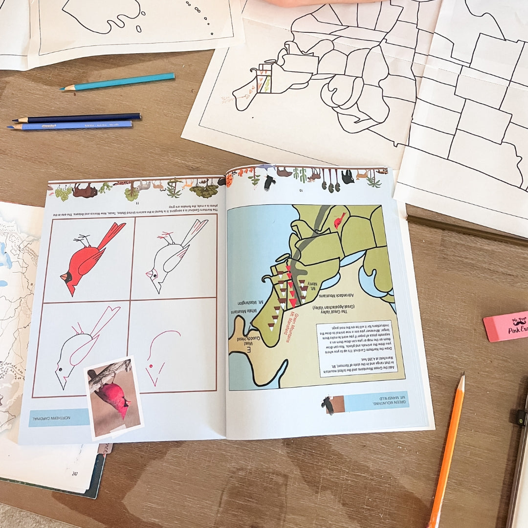 Classical Conversations Cycle 3: Week 17 Recap – Driven By Grace