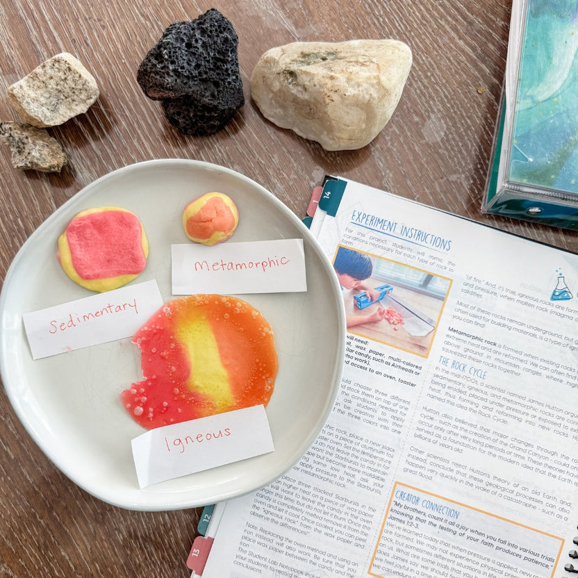 Classical Conversations Cycle 1: Week 14 Recap – Driven By Grace