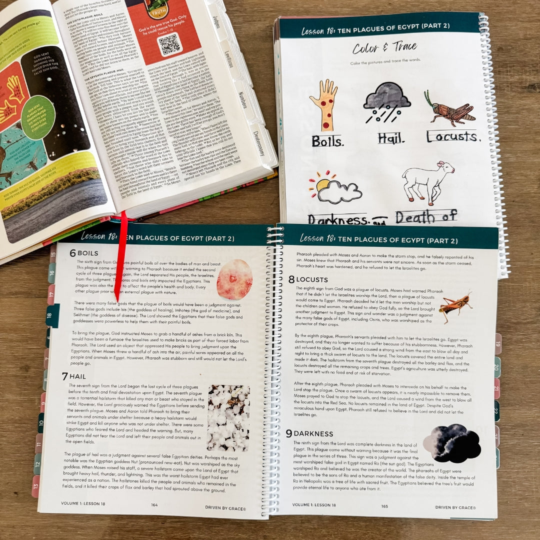 Classical Conversations Cycle 1: Week 18 Recap – Driven By Grace