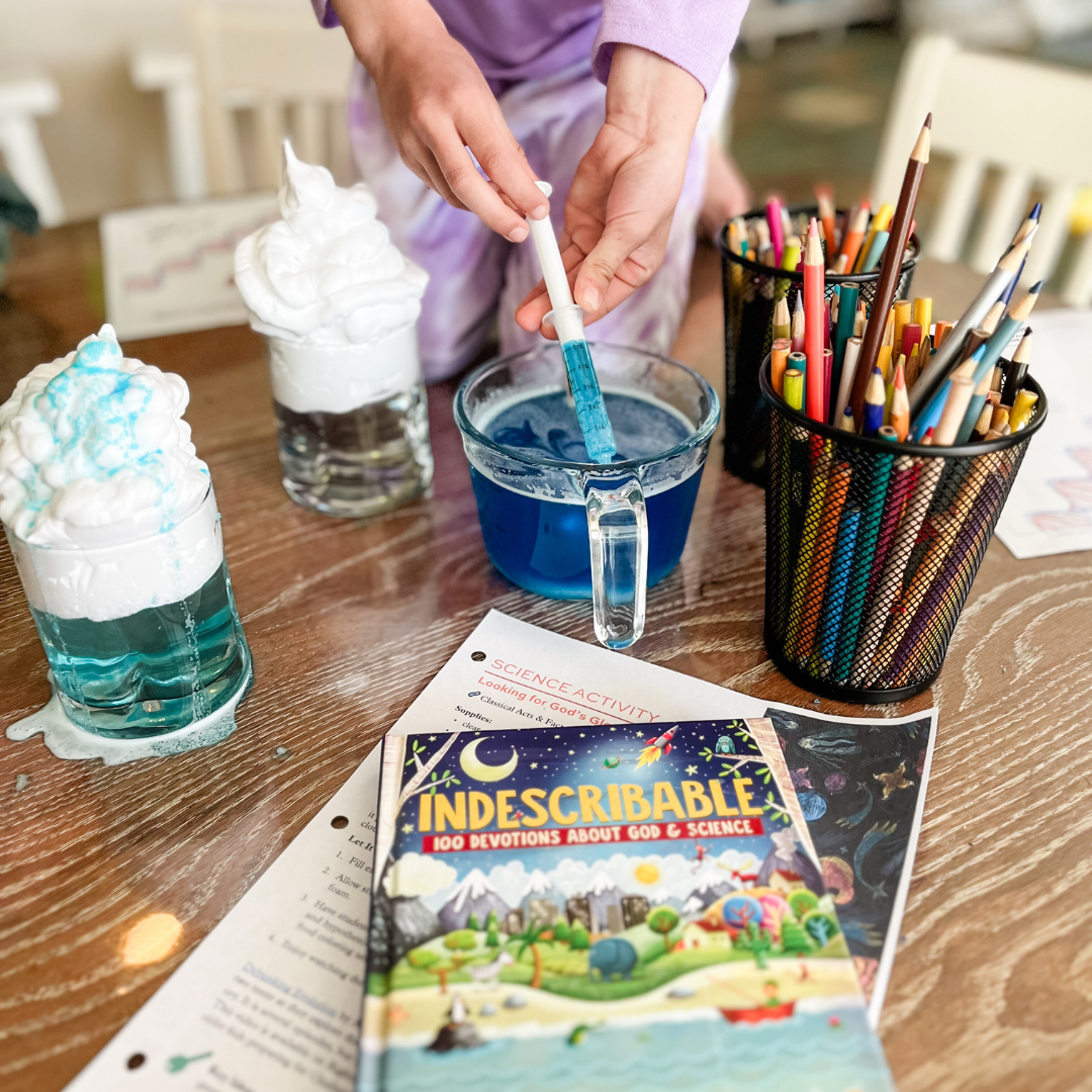 Classical Conversations Cycle 3: Week 22 Recap – Driven By Grace