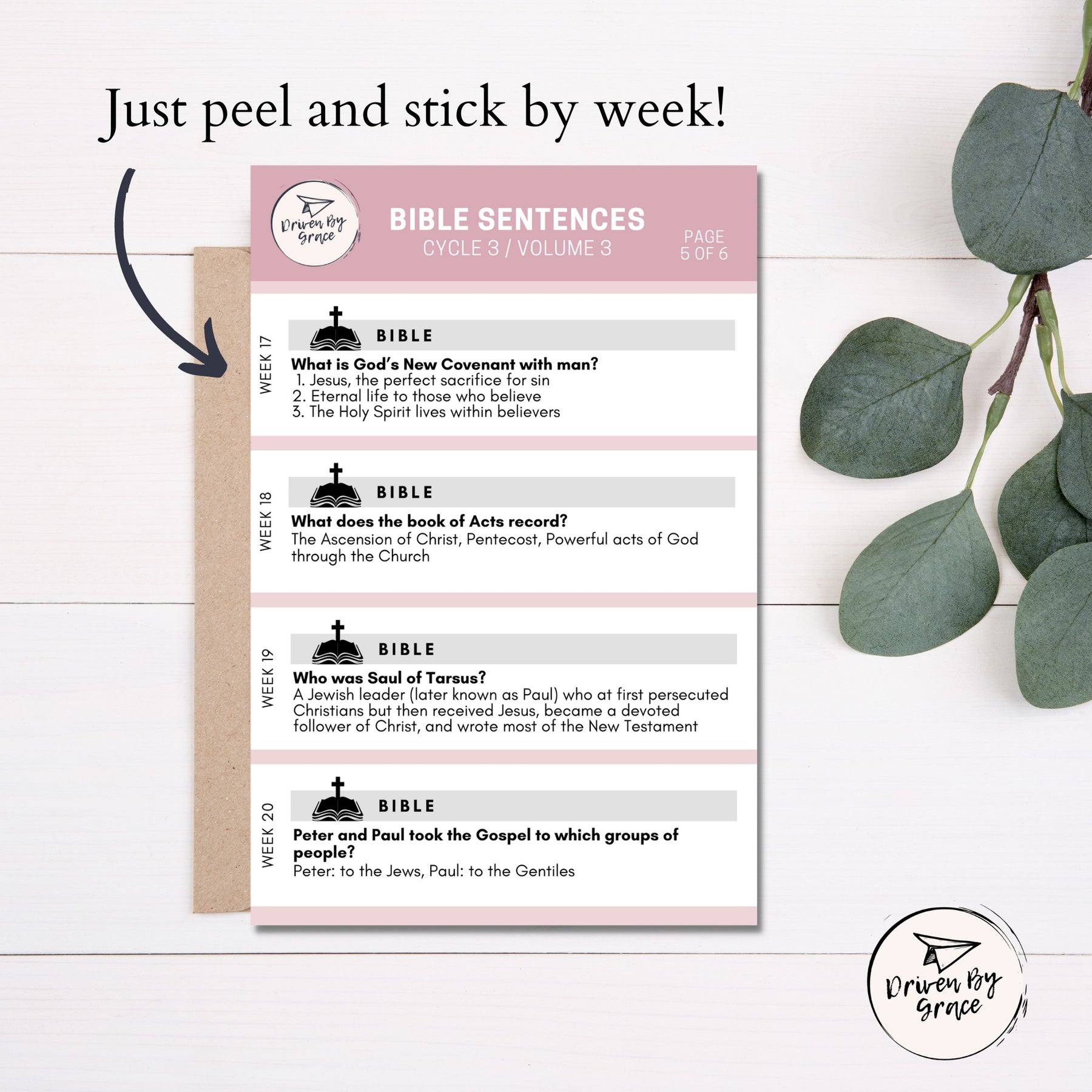 Bible Sentence Stickers — Vol. 3 – Driven By Grace