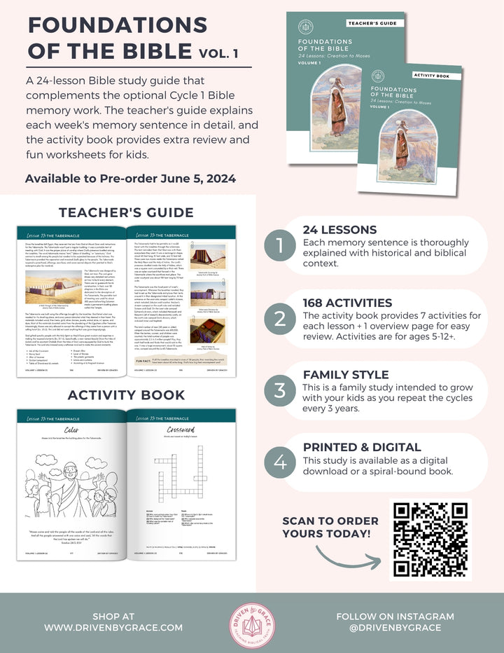 Foundations of the Bible Collection – Driven By Grace